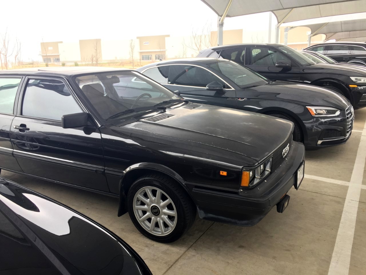 35 years of Evolution - AudiWorld Forums